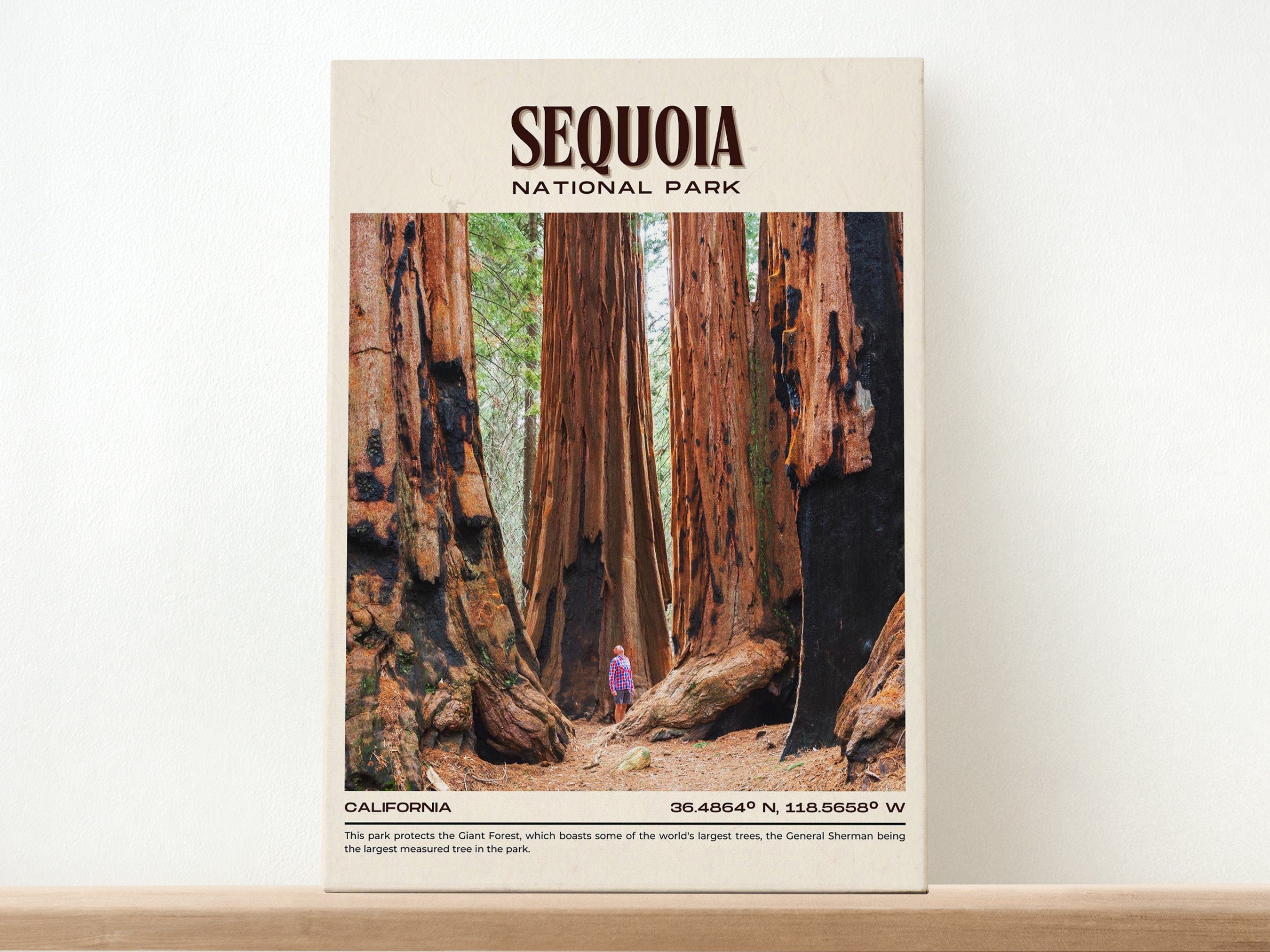 Unforgettable Adventures in Sequoia National Park: 5 Must-Do Activitie ...
