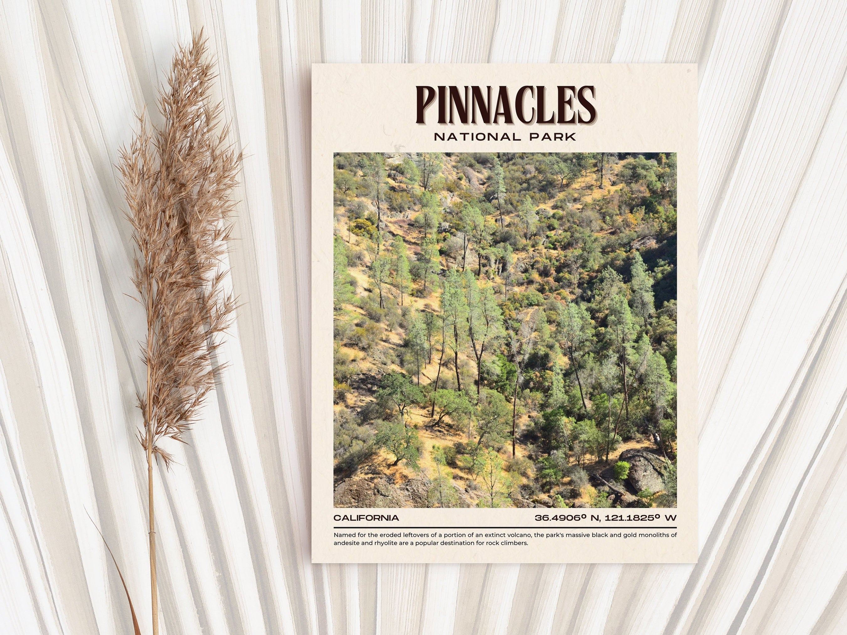 Exploring the Wonders of Pinnacles National Park: 5 Must-Do Activities ...