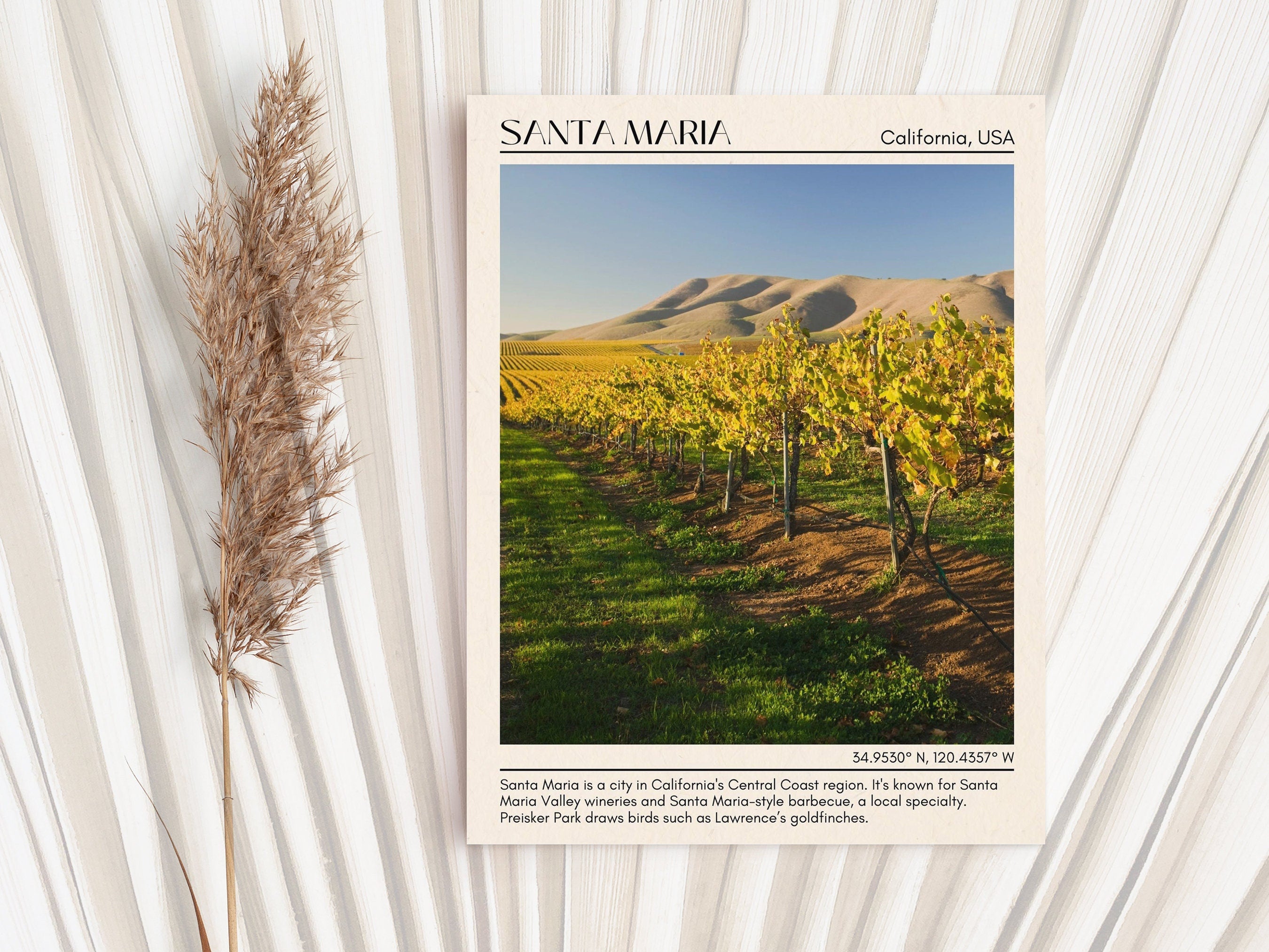 Exploring Santa Maria, California: 5 Must-Do Activities – JOYIE