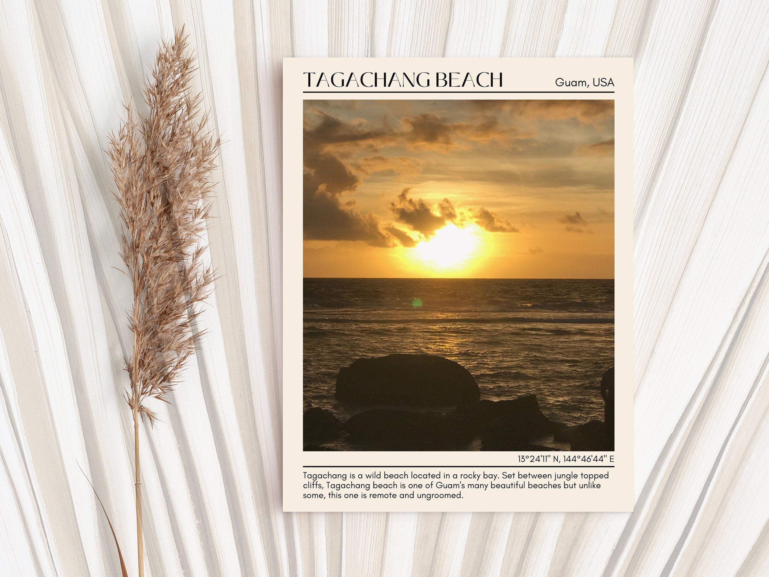 5 Unforgettable Activities to Experience at Tagachang Beach, Guam – JOYIE