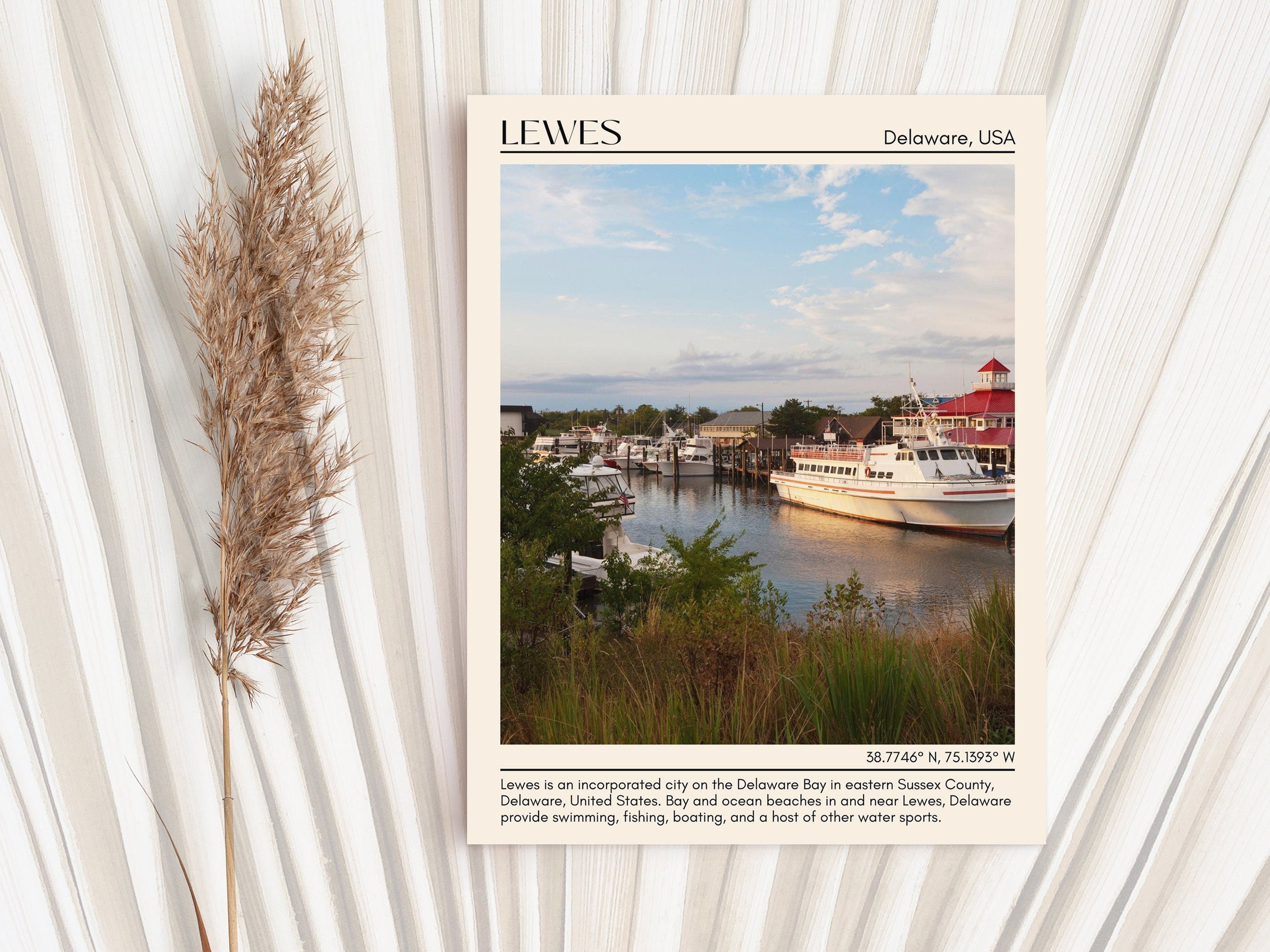 Discover the Charms of Lewes, Delaware: 5 Must-Experience Activities ...