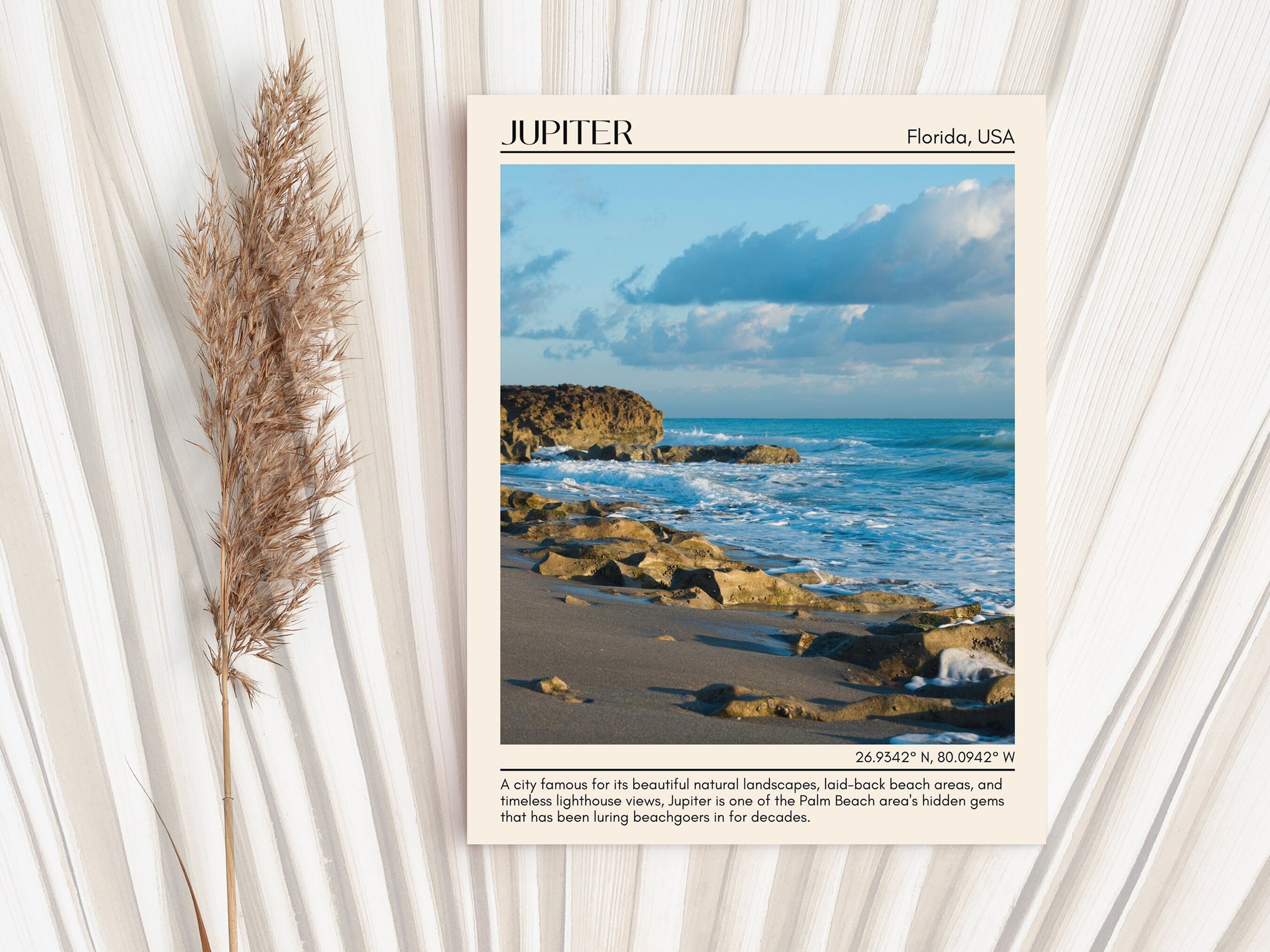 Explore Jupiter Beach, Florida: 5 Must-Experience Activities and Why Y ...