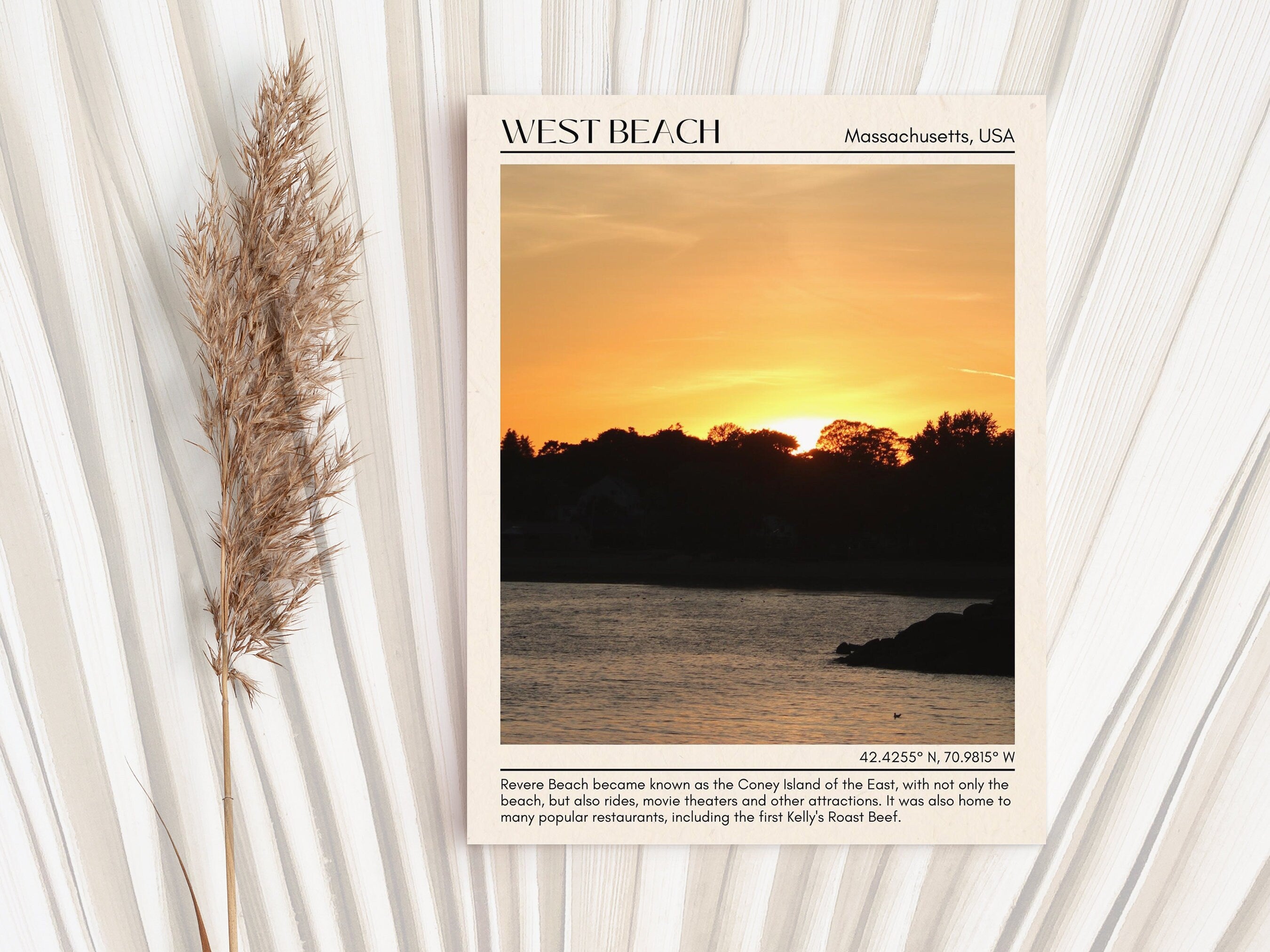 Unveiling the Wonders of West Beach, Massachusetts: 5 Must-Do Activiti ...