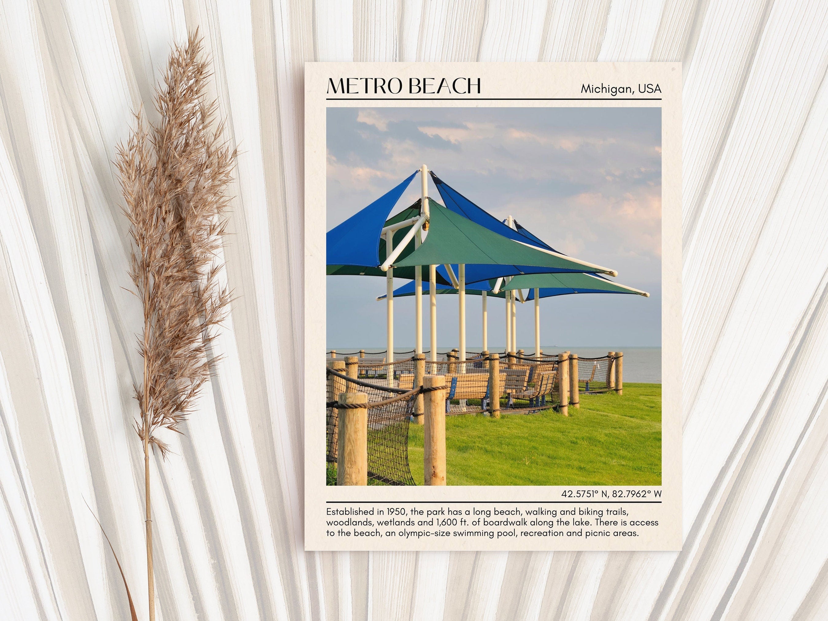 Uncover Metro Beach: 5 Must-Do Activities in Michigan – JOYIE